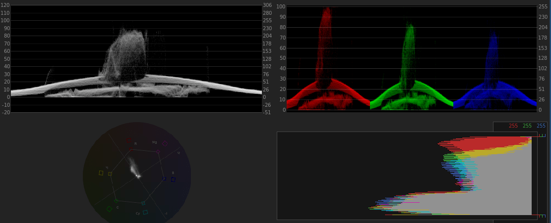 Best Way to White Balance Your Video In-Camera – {networkphil}